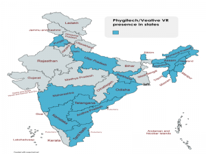 phygitech - phygitech