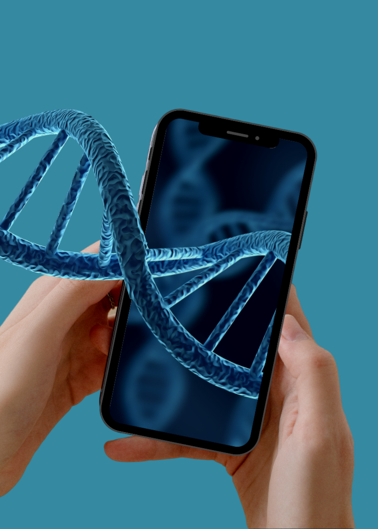 2D-3D Lab - phygitech